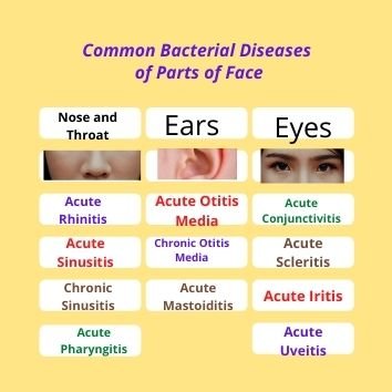Acute Common Bacterial Diseases - Learn How To Treat